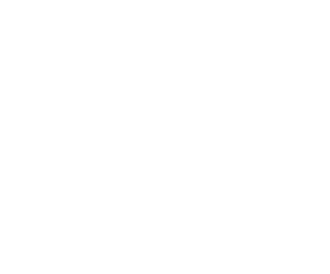 Professional Program Insurance Brokerage - PPIB